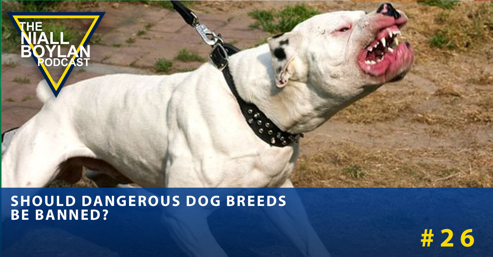 Dangerous Dogs Breeds