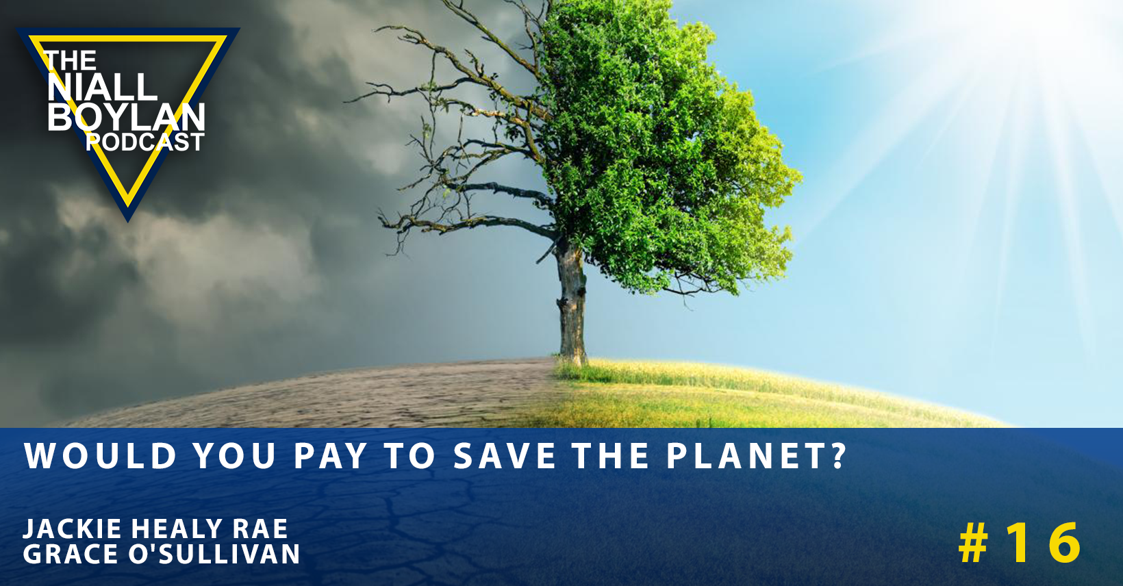 Would You Pay To Save The Planet Episode 16 - The Niall Boylan Podcast