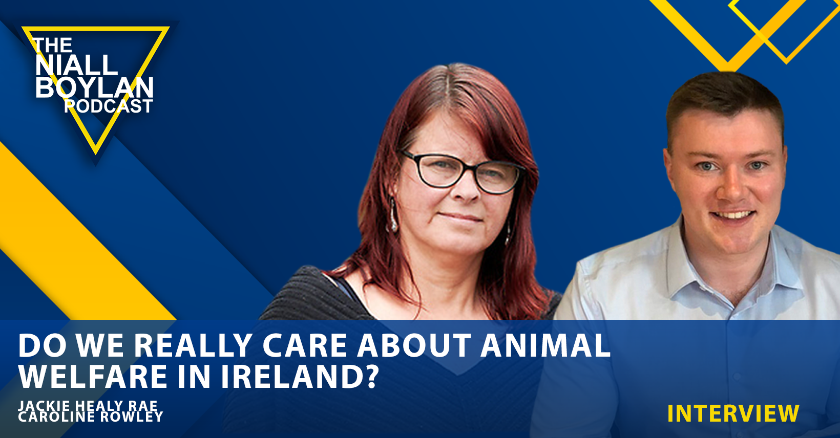 Do We Really Care About Animal Welfare in Ireland With Jackie Healy Rae ...