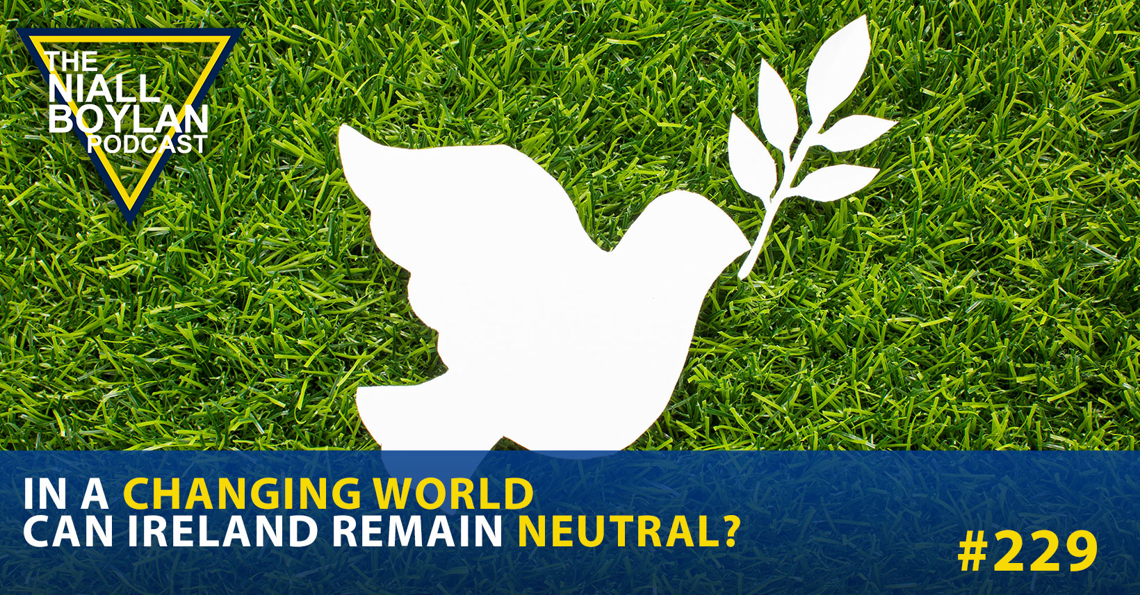 In A Changing World Can Ireland Remain Neutral? Episode 229 - The Niall ...