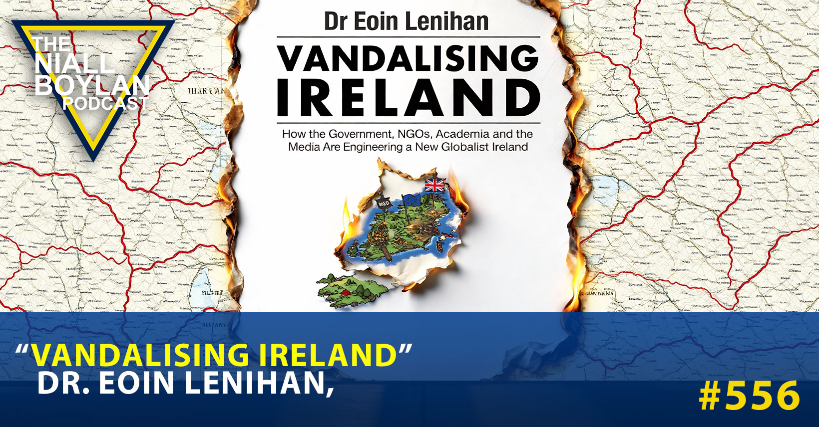 #556 Vandalising Ireland, Dr. Eoin Lenihan, - The Niall Boylan Podcast